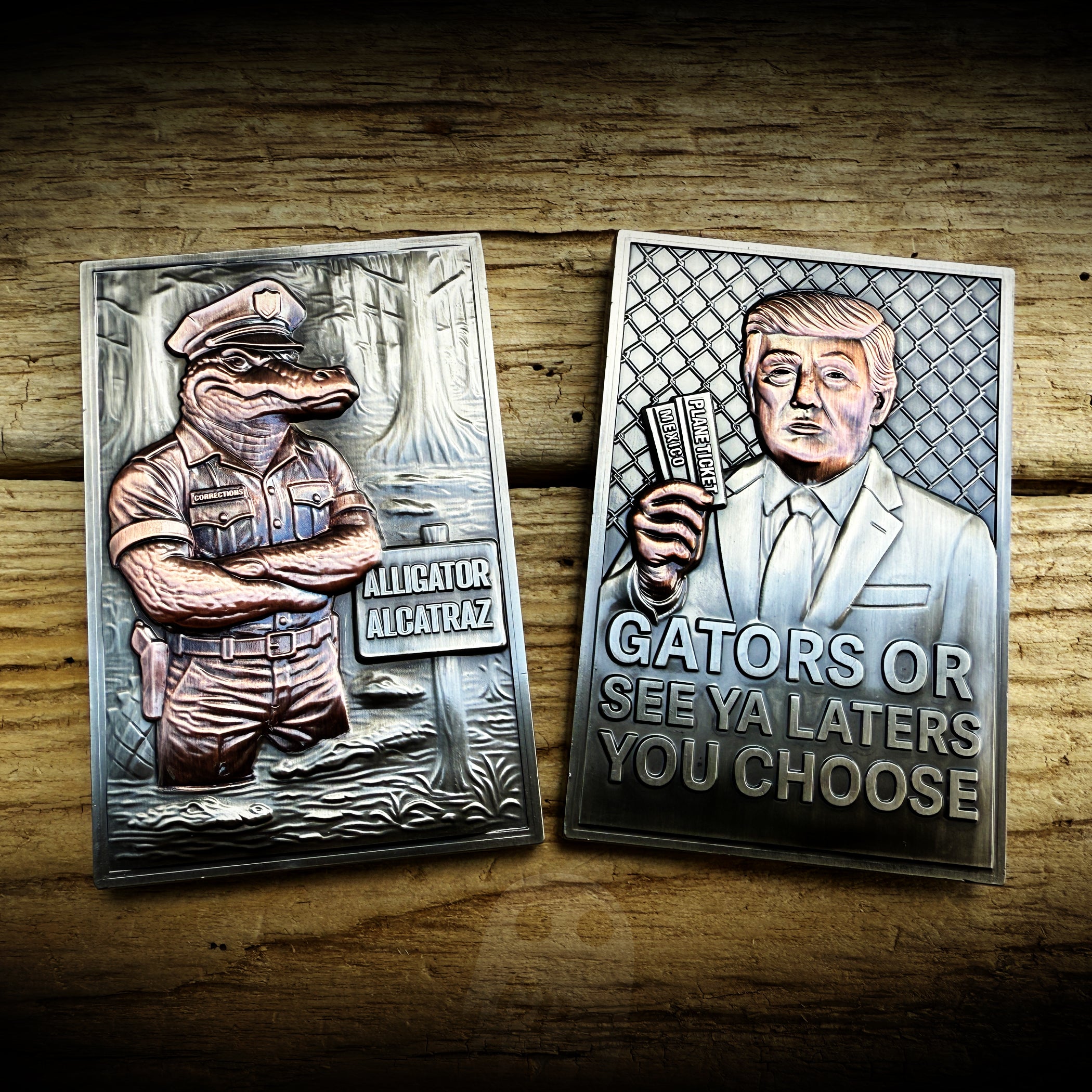 COIN - Alligator Alcatraz Coin – GHOST PATCH